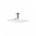 Hansgrohe PuraVida Overhead Shower 39x26 cm HNG27390000